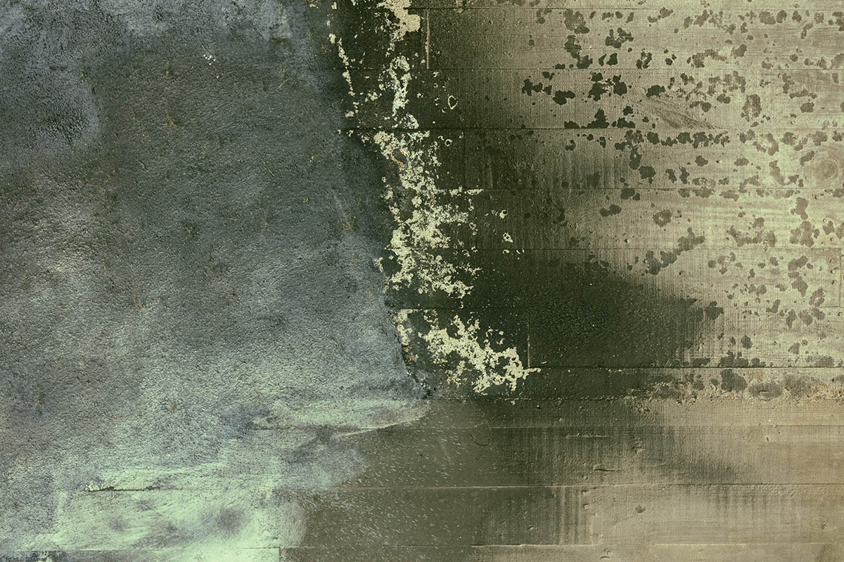 The Most Common Causes of Mold in Your Home - Reliant Restoration